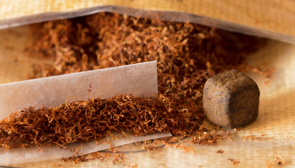 Exploring The Fascinating History Of Hashish